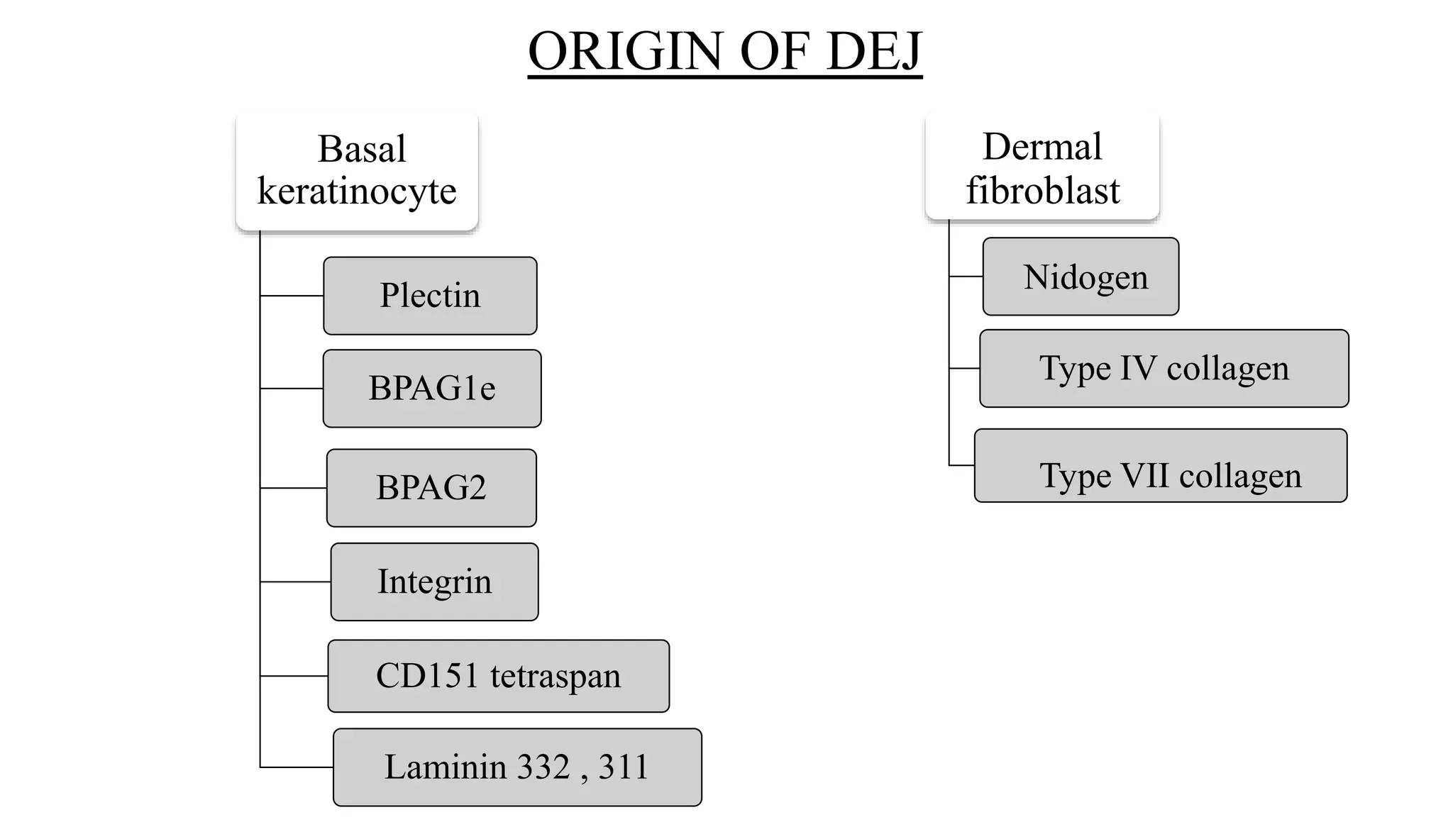 DEJ and Applied aspects.pptx