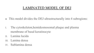 DEJ and Applied aspects.pptx
