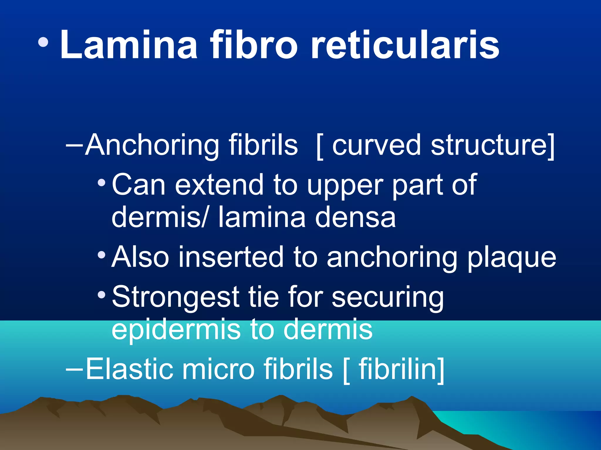 Dermo epidermal junction | PPT