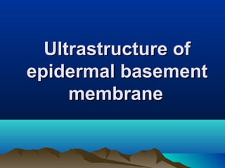 Dermo epidermal junction | PPT | Skin and Dermatology | Diseases and ...