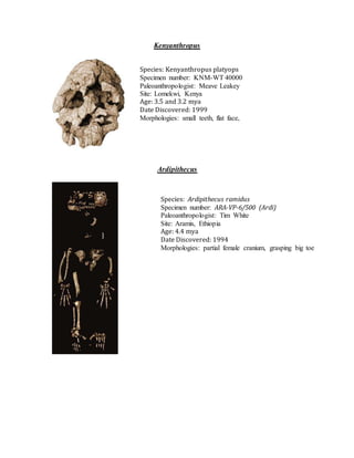 Fossil guide | DOCX