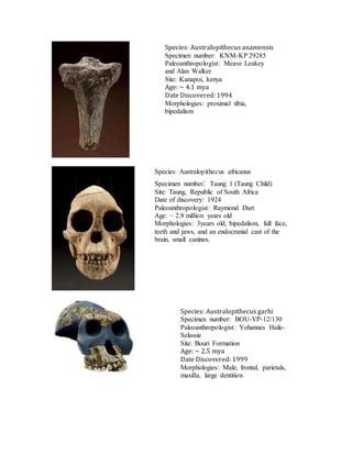 Fossil guide | PDF
