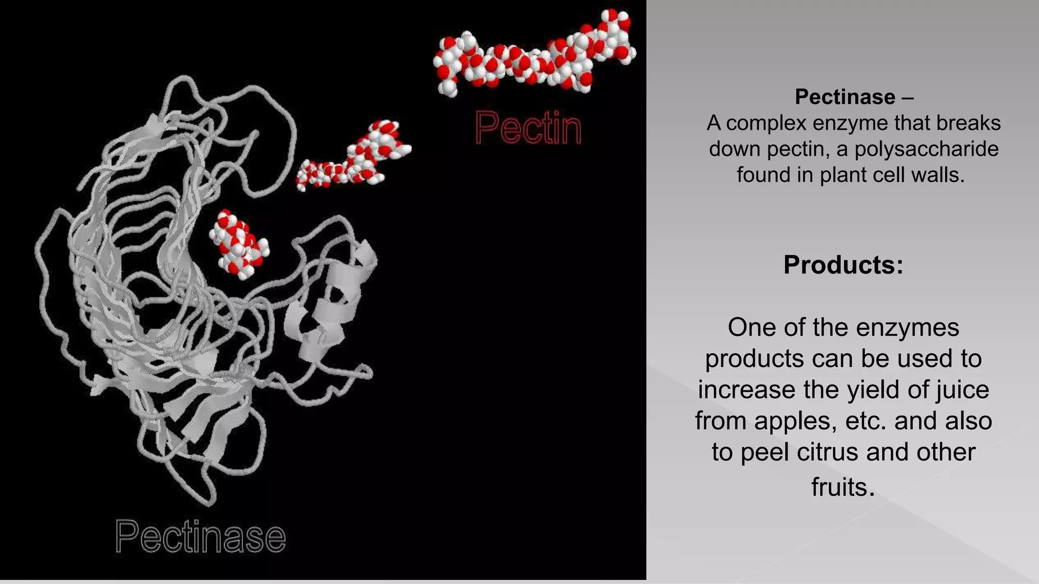 Pectinase enzyme. Characteristics and production | PPTX | Chemistry | Science