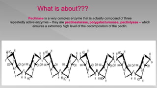 Pectinase enzyme. Characteristics and production | PPTX | Chemistry ...