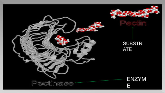 Pectinase enzyme. Characteristics and production | PPTX | Chemistry ...