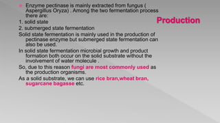 Pectinase enzyme. Characteristics and production | PPTX | Chemistry ...