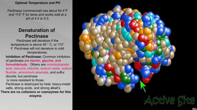 Pectinase enzyme. Characteristics and production | PPT