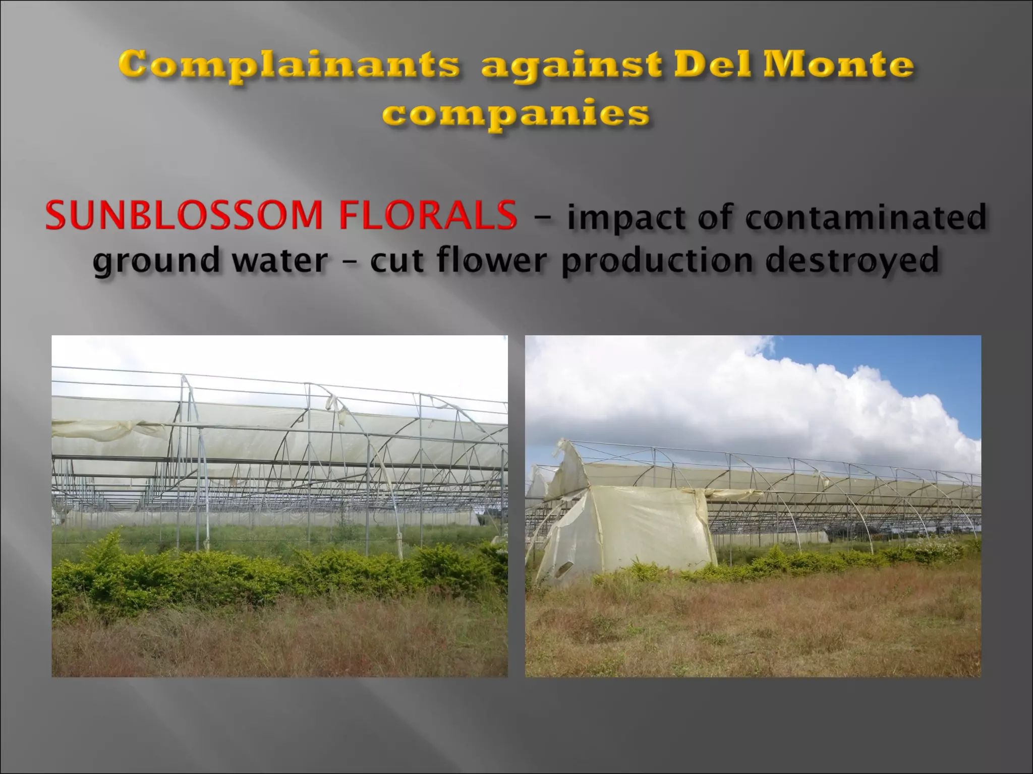 Del Monte India Environmental Abuse | PPT