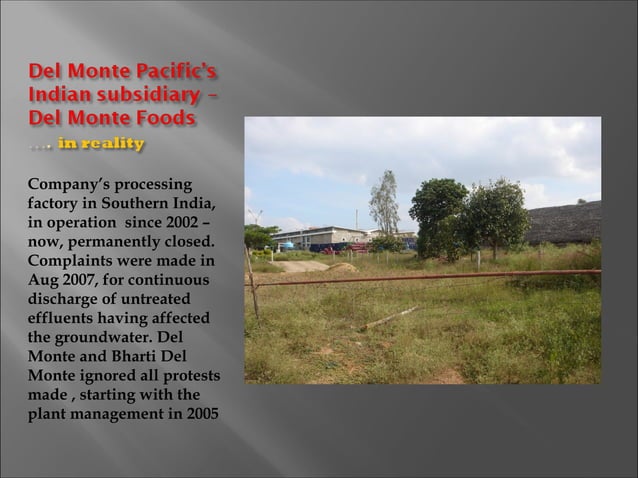 Del Monte India Environmental Abuse | PPT