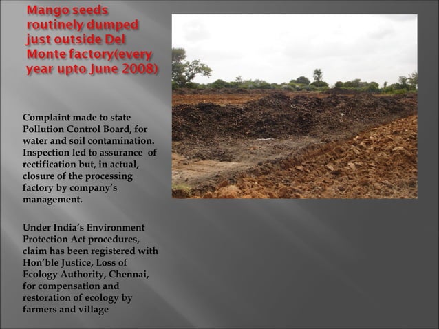 Del Monte India Environmental Abuse | PPT | Free Download
