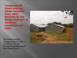 Del Monte India Environmental Abuse | PPT