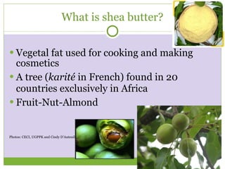 Delapointe Shea Butter (ENG) | PPT
