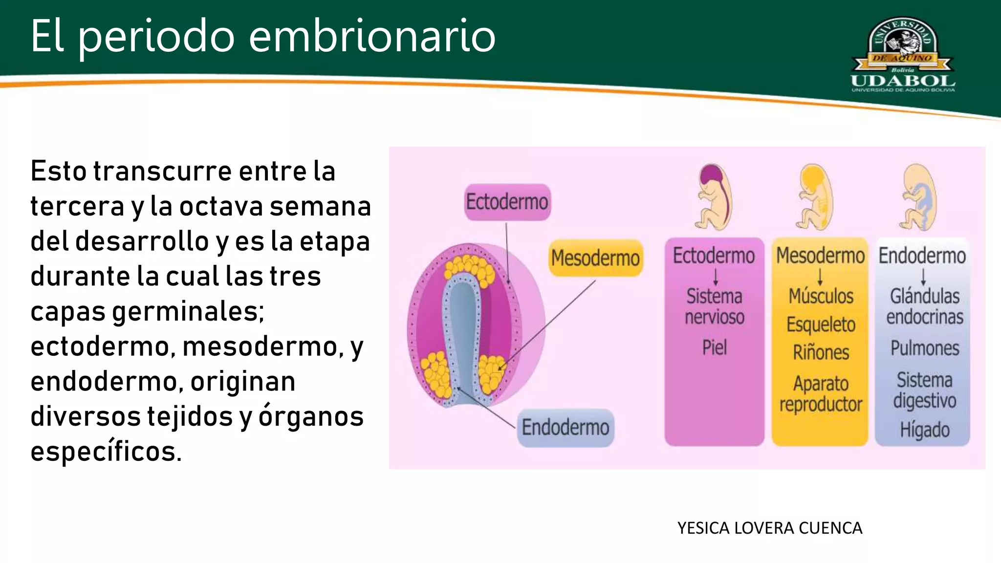 DE LA TERCERA A OCTAVA SEMANA.pptx