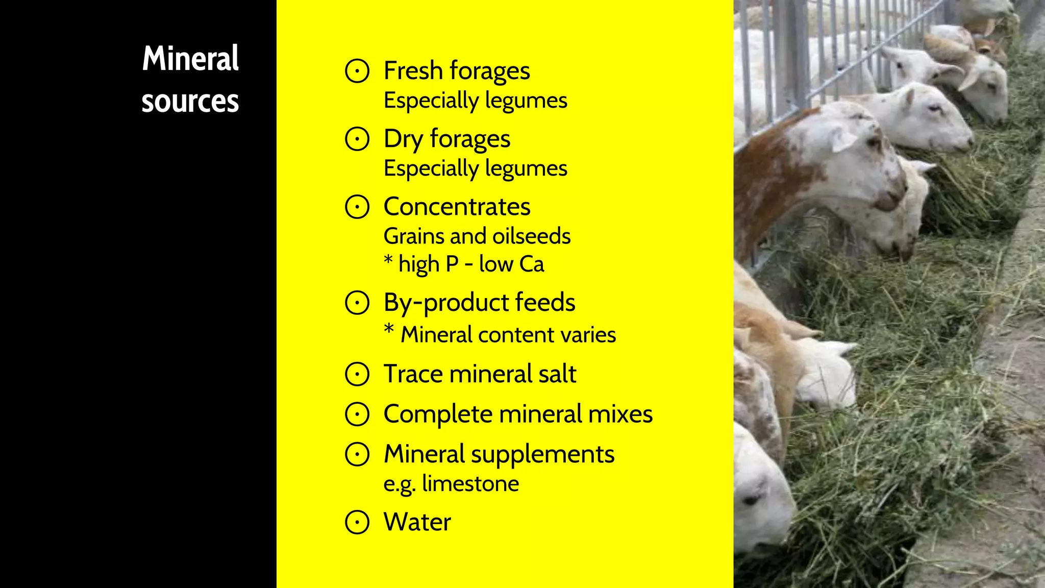 Basic Nutrition for Production Goats and Sheep | PPTX