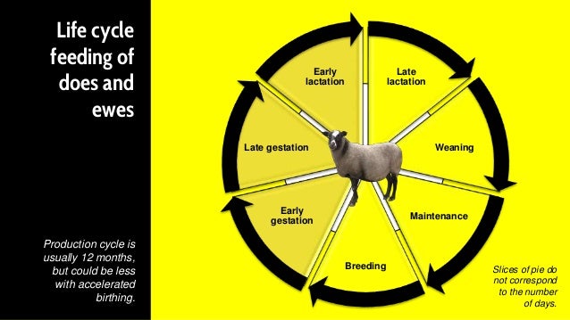 Basic Nutrition for Production Goats and Sheep