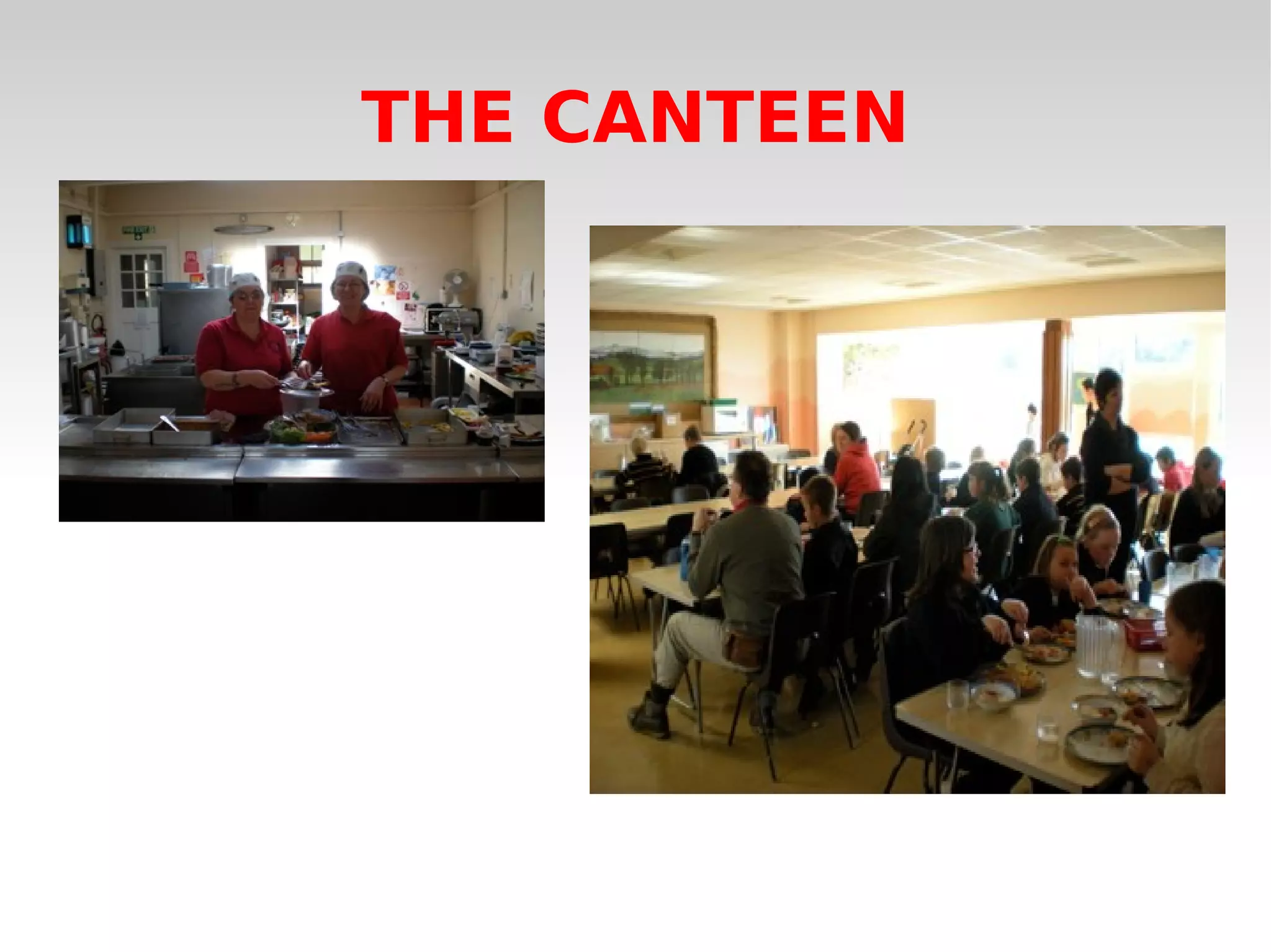 Delaware Power Point | ODP