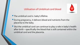 Umbilical cord blood utilization by vertical suspension alternative to ...