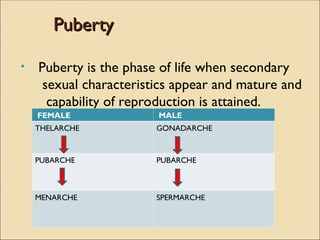 delayed puberty presentation for pediatrics | PPT