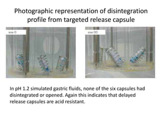Delayed release capsules with probiotics, prebiotics, enzymes and ...