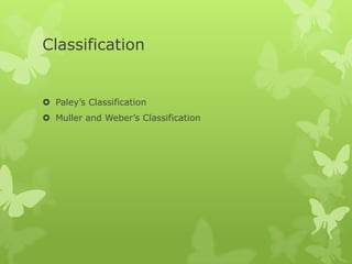 Delayed union and non union | PPTX