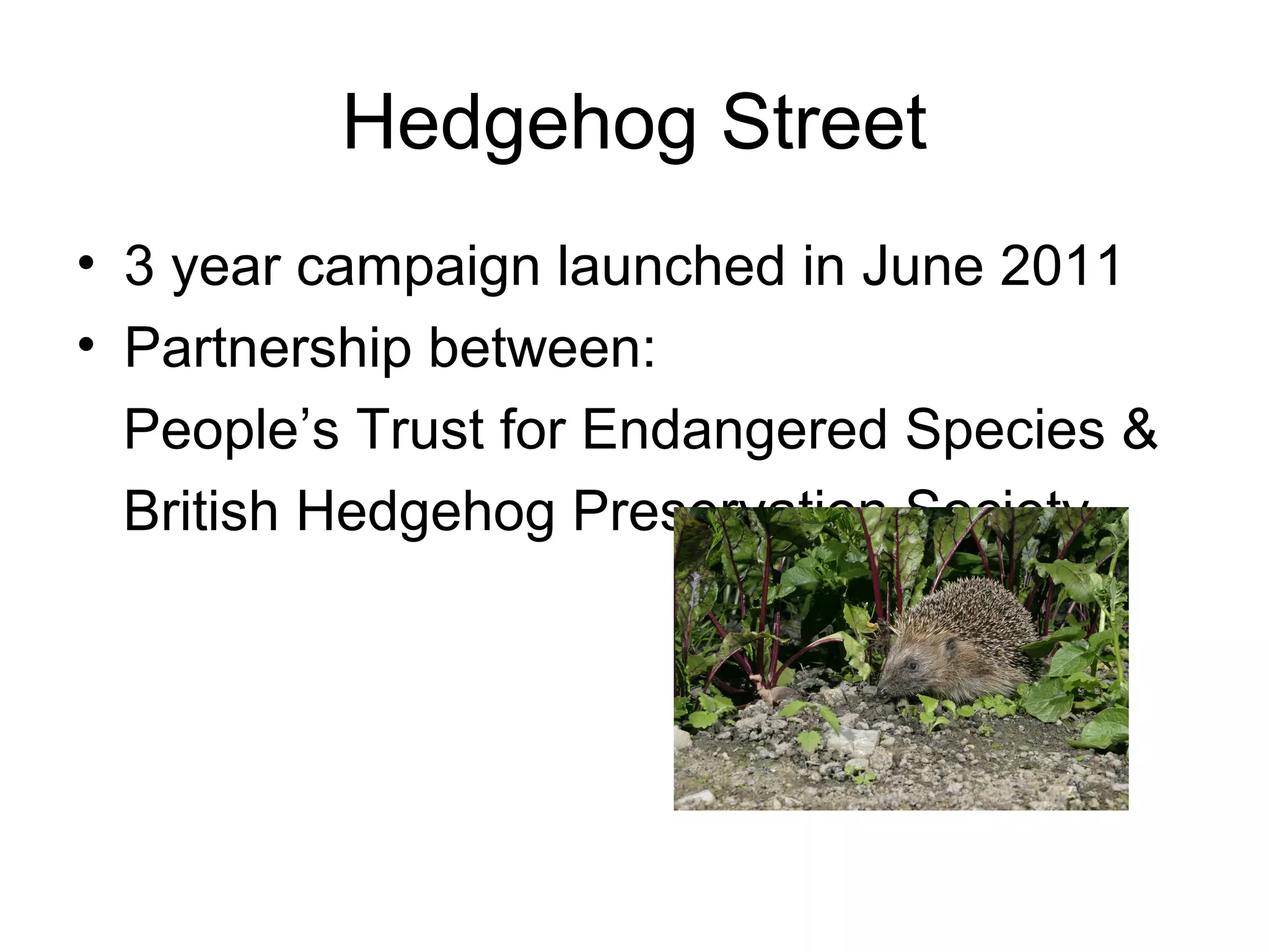 Delegate Showcase - Jane Bevan | PPT