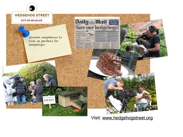 Delegate Showcase - Jane Bevan | PPT