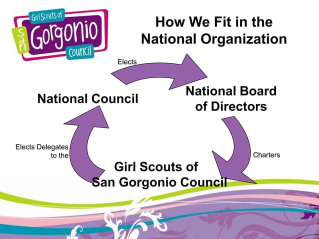 Girl Scouts Delegate Training 2010 | PPT