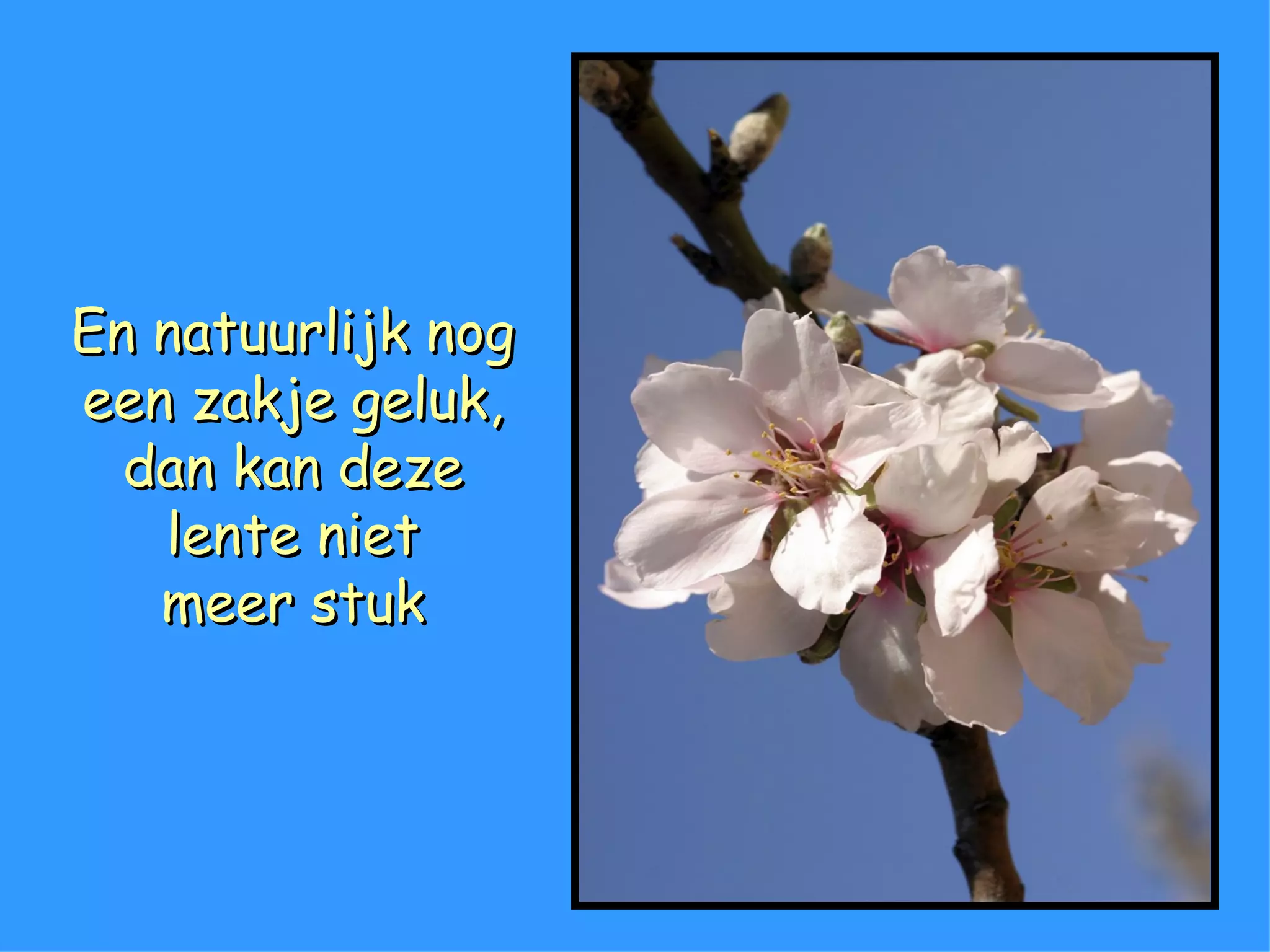 De lente is op komst | PPS