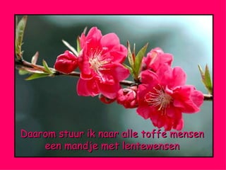 De lente is op komst | PPS