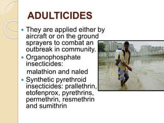 prevention of dengue | PPTX