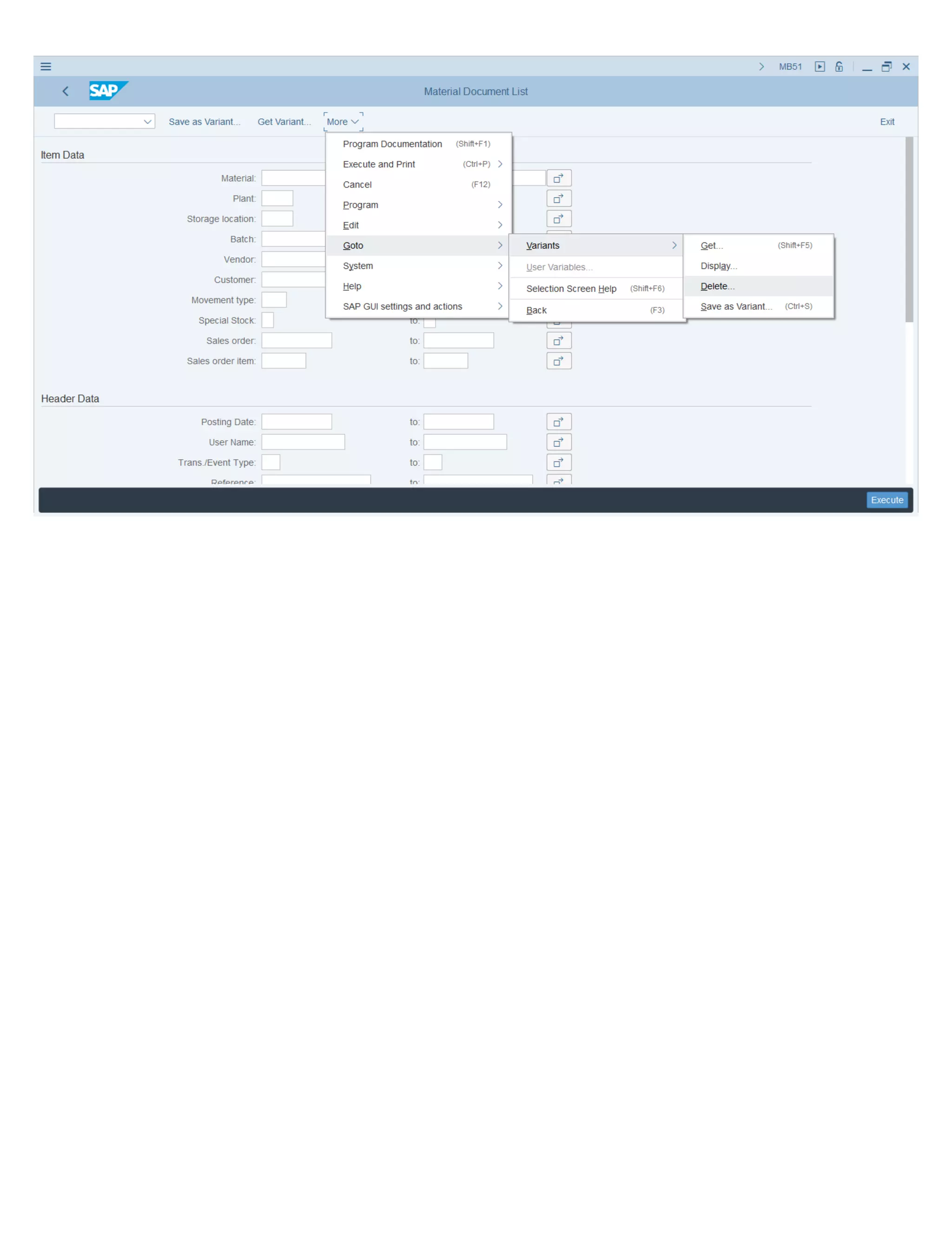 Delete variant in SAP Reporting | PDF