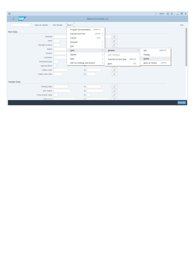 Delete variant in SAP Reporting | PDF