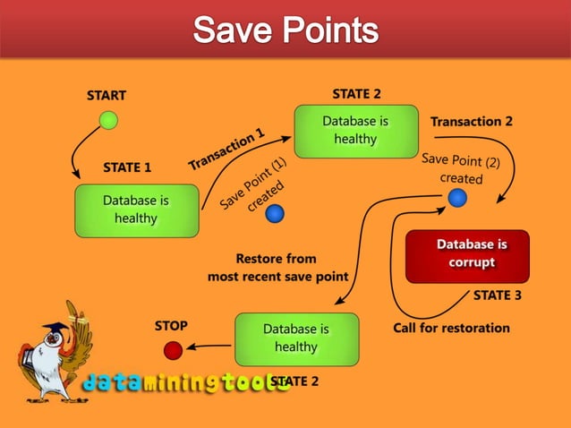 Ms Sql Server Deleting A Database Ppt