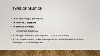 Deletion Protein Synthesis And Nucleic Acid Pptx