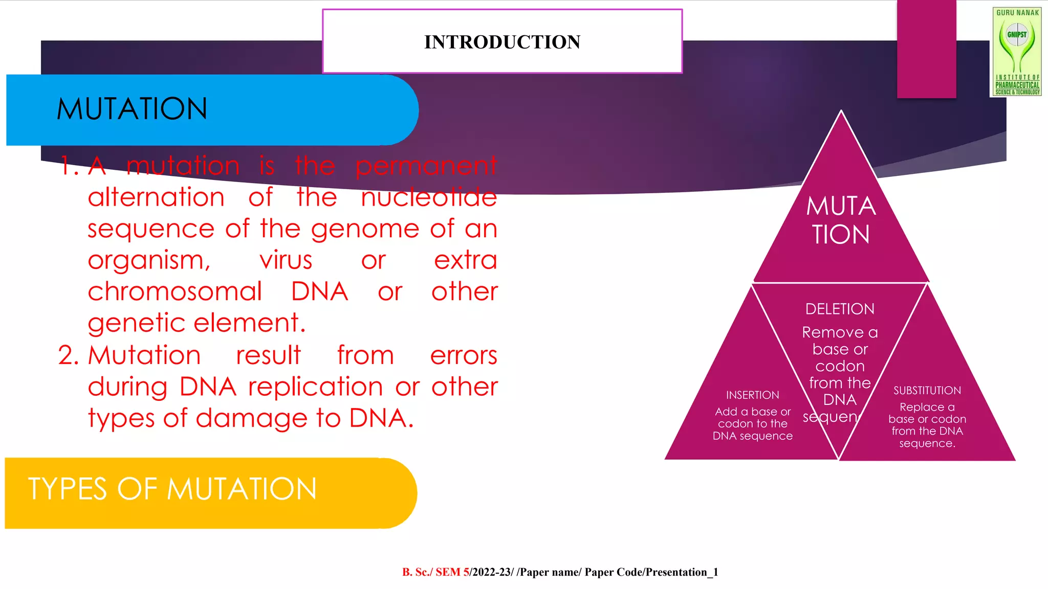 Deletion Mutation.pdf