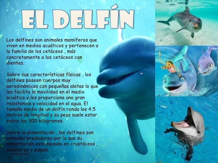 Delfin