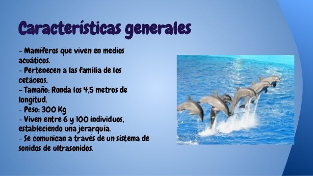 Delfines