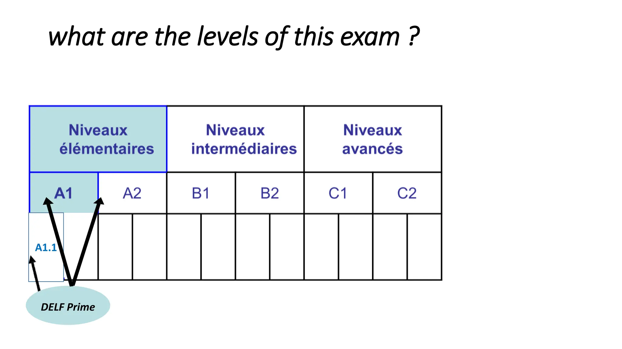DELF presentation.pptx
