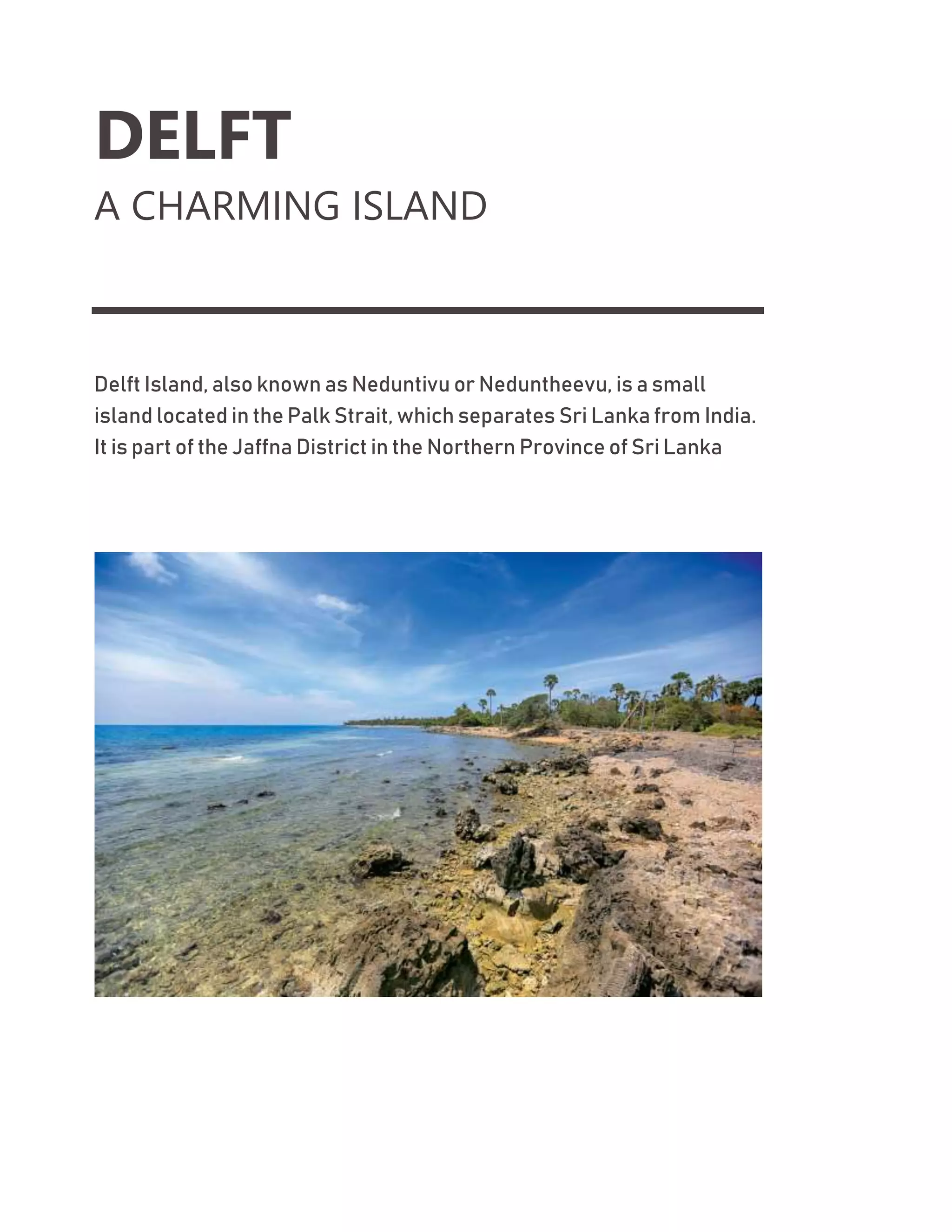 Delft Island.docx | Asia Travel | Travel Locations