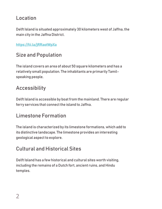 Delft Island.docx