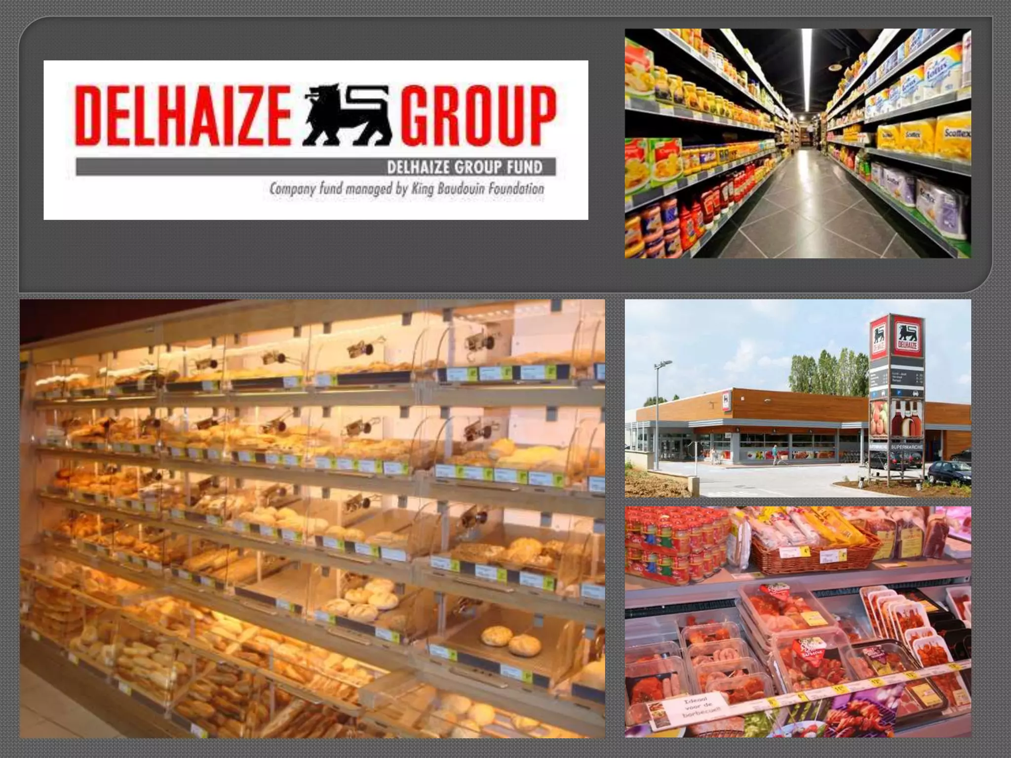 Delhaize group: Financial analysis - Jennifer Vermander | PPT