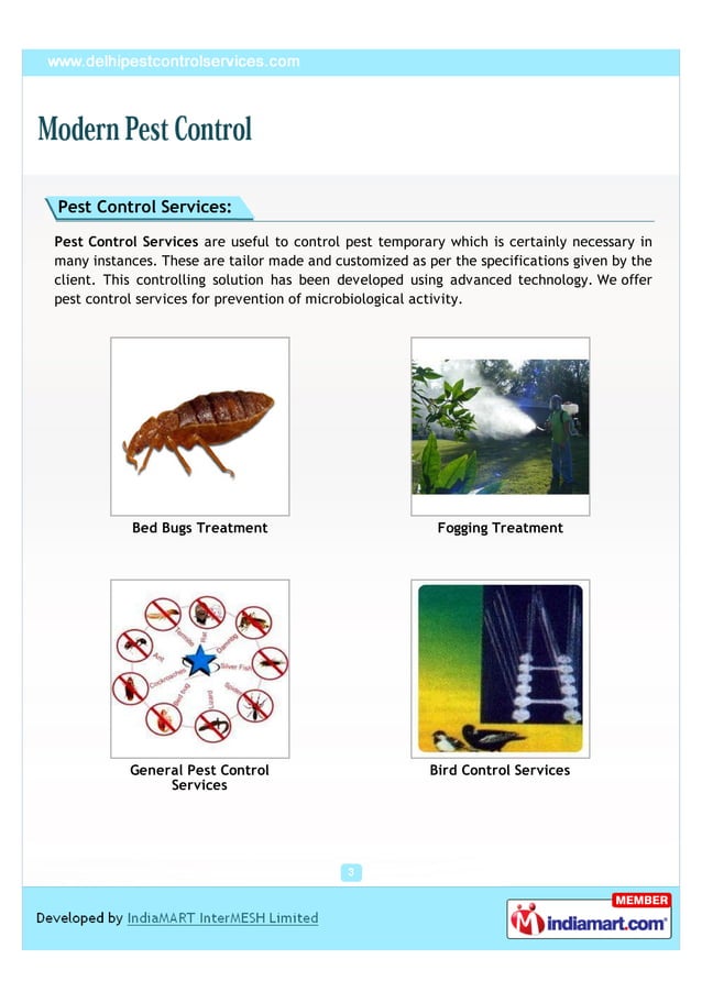Modern Pest Control, New Delhi, Pest Control Management | PDF | Large ...