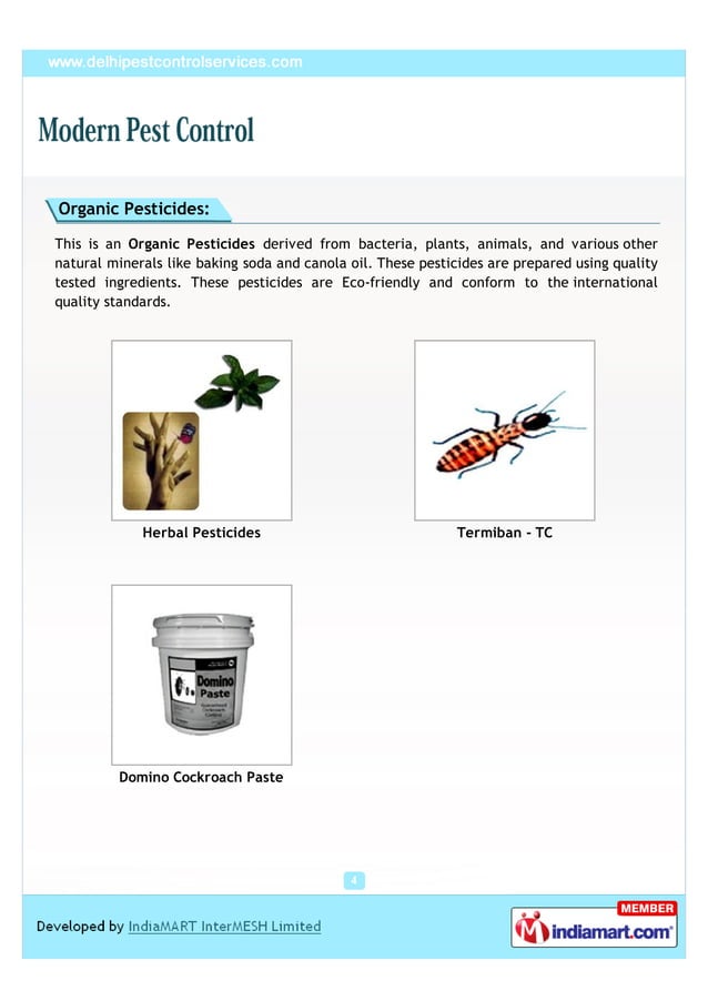 Modern Pest Control, New Delhi, Pest Control Management | PDF | Large ...