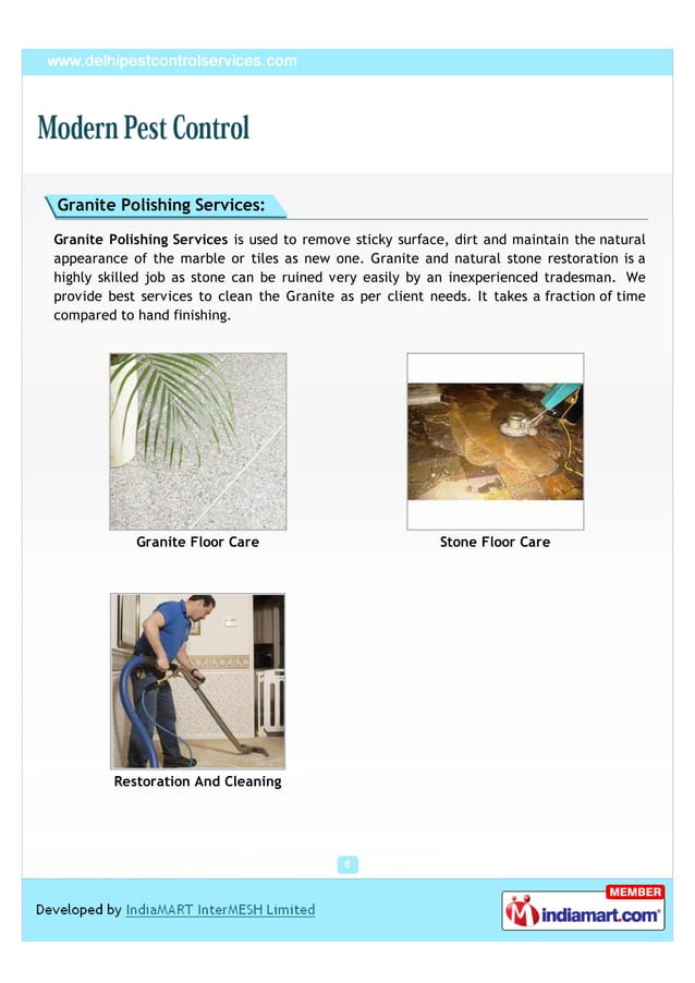 Modern Pest Control, New Delhi, Pest Control Management | PDF | Large ...