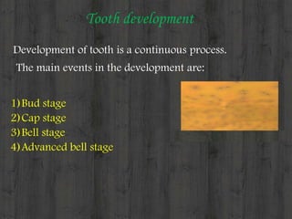 Role of growth spurts in tooth development - oral medicine and ...