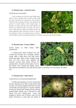 Delhi Trees Information | PDF