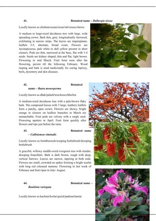 Delhi Trees Information | PDF