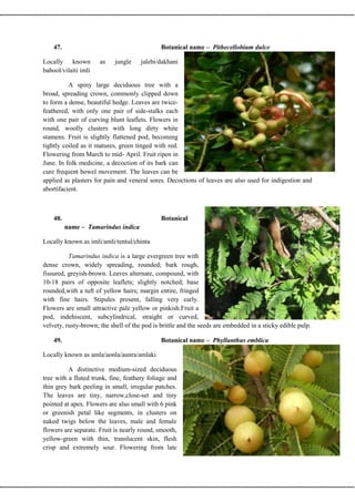 Delhi Trees Information | PDF