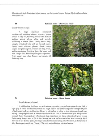 Delhi Trees Information | PDF