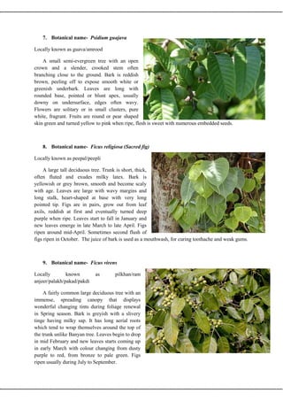 Delhi Trees Information | PDF